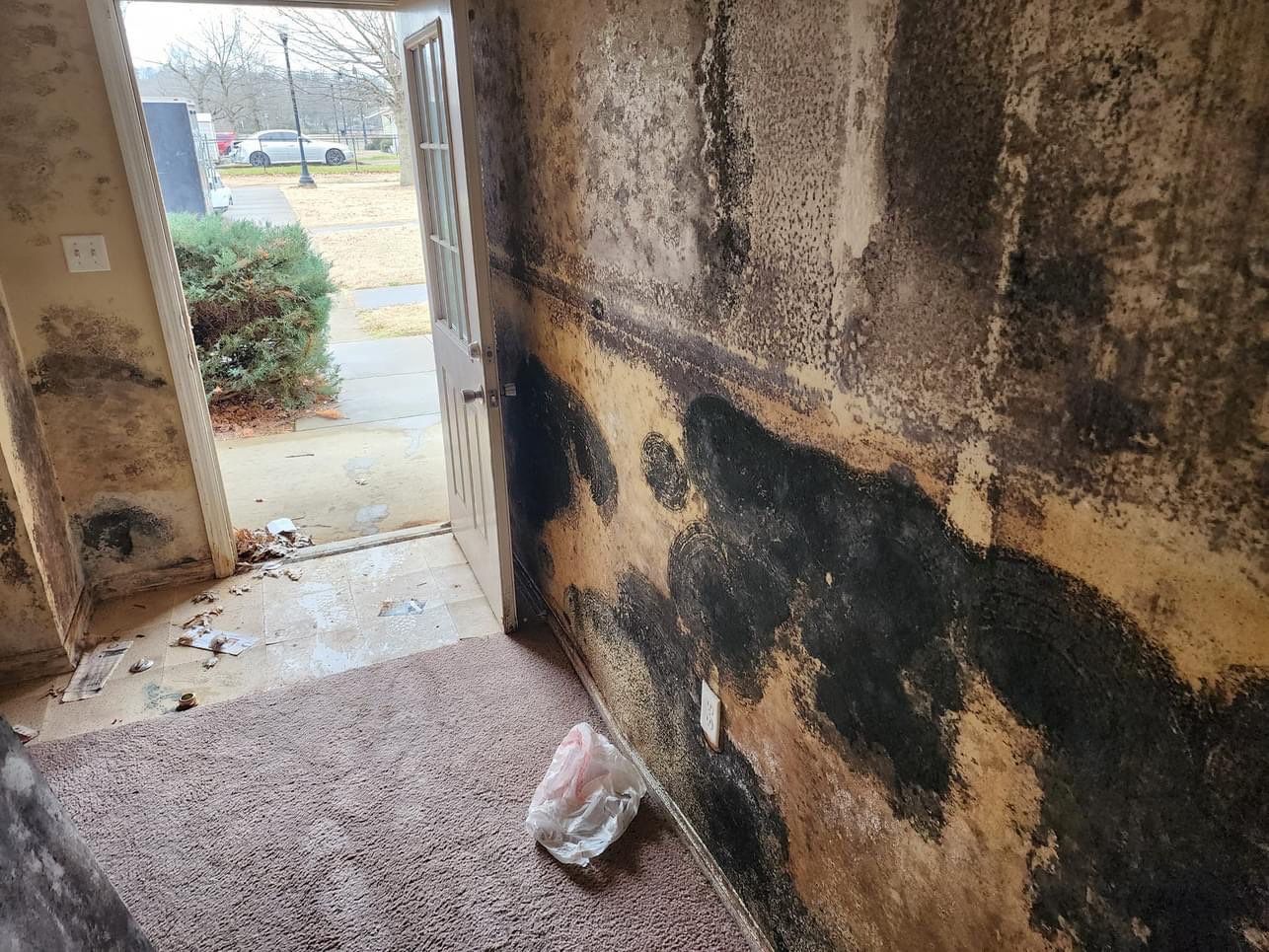 Mold Removal Washington DC - Advanced Restoration Solutions